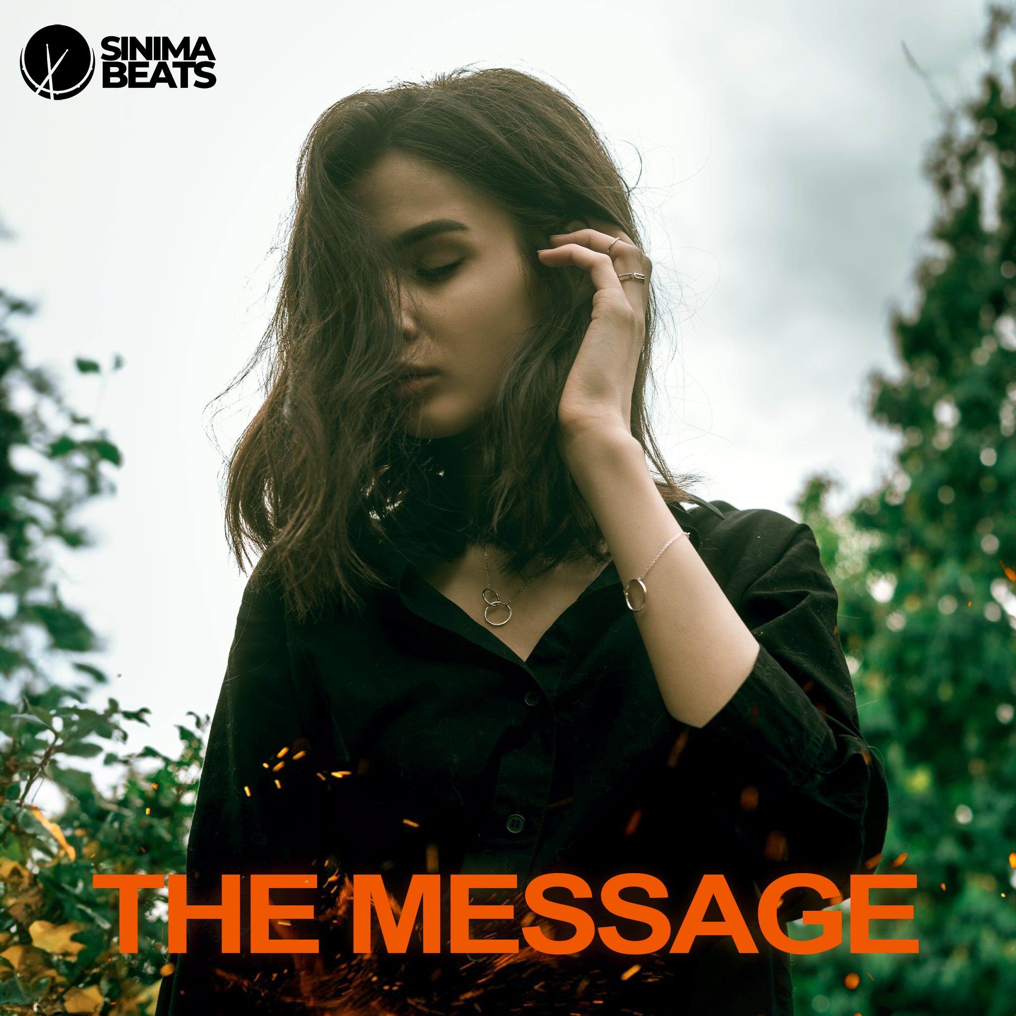 The Message Instrumental | Ambient Hip Hop Beat – SINIMA BEATS