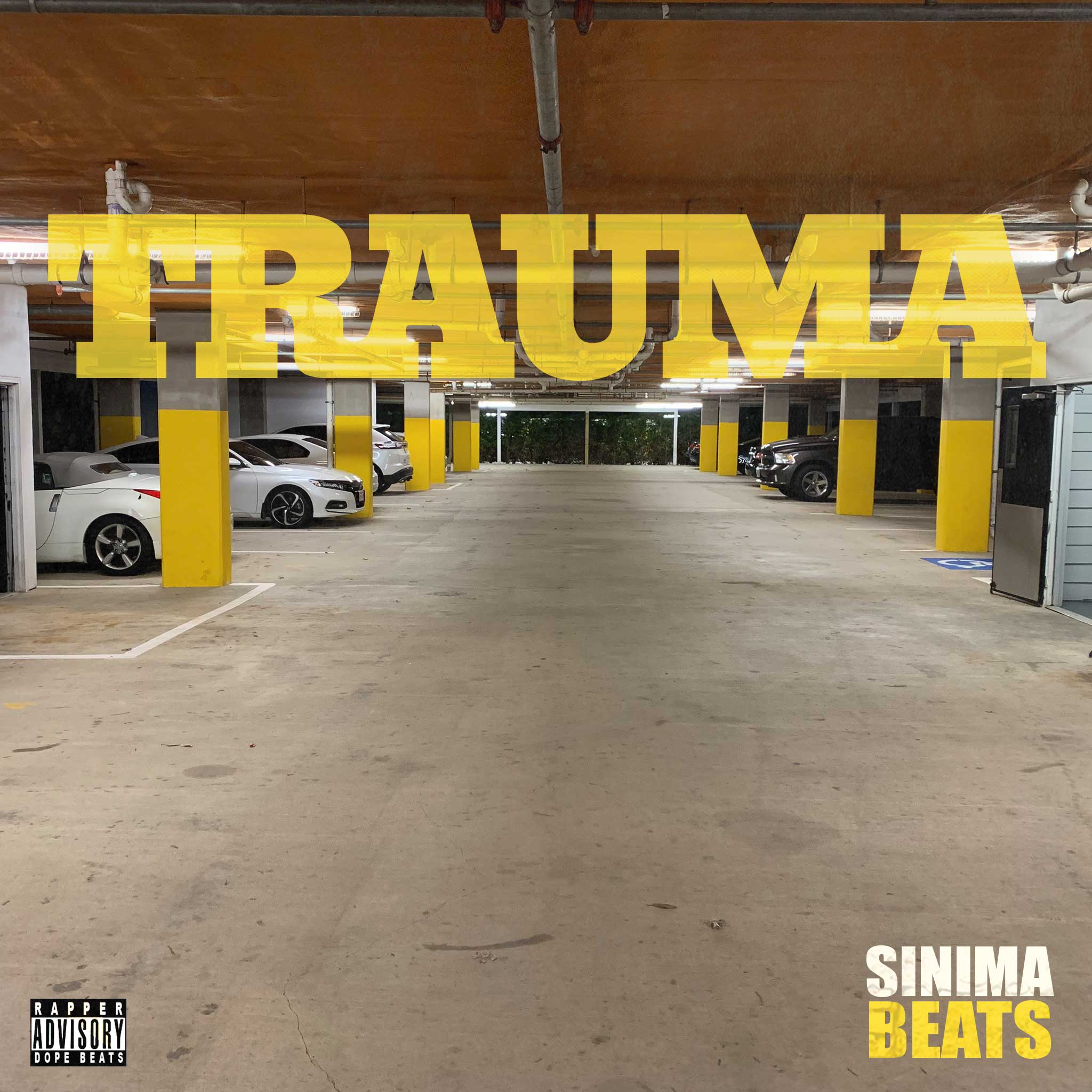Trauma Instrumental | Heartfelt Boom Bap Style Rap Beat – SINIMA BEATS